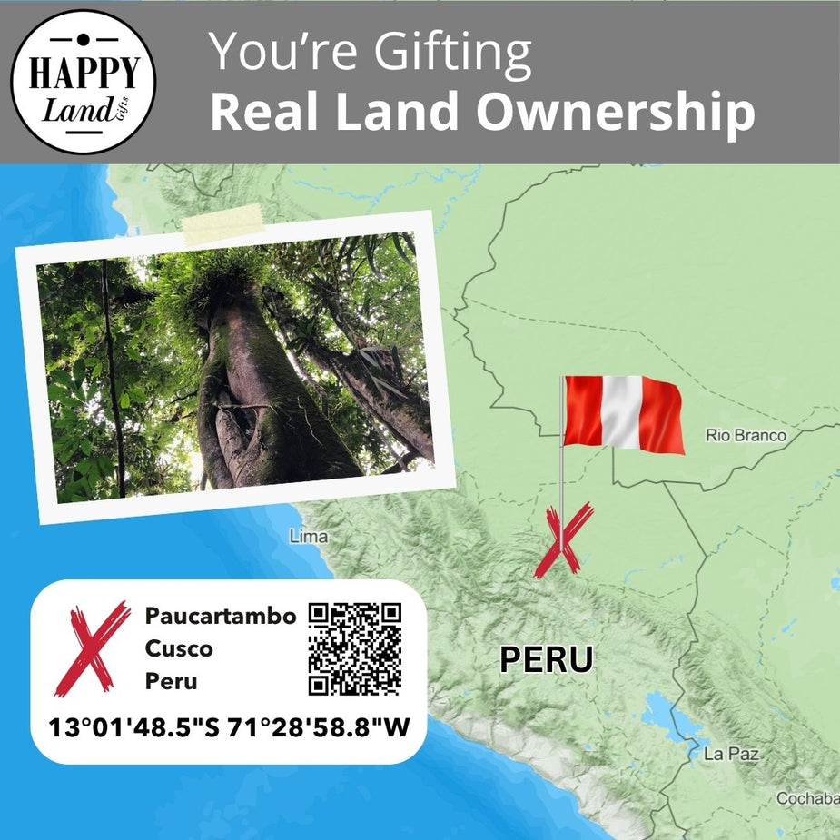 Real Piece of PERU RAINFOREST - Personalized Gift | HappyLandGifts